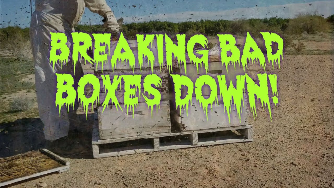 Breaking Bad Boxes Down! - YouTube