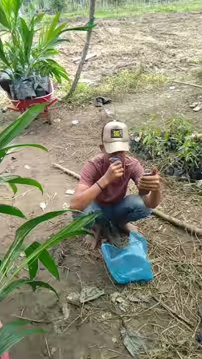 kids Jaman now lg nonton bokep - YouTube