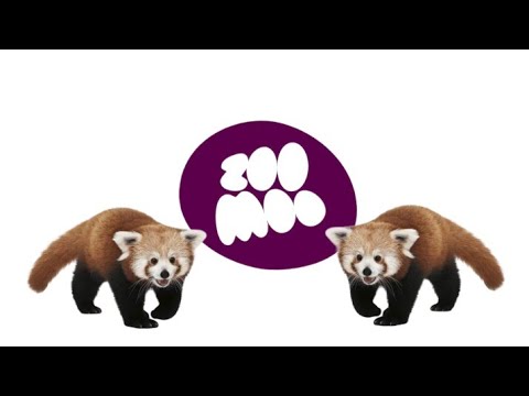 ZooMoo Specials | Red Panda | - YouTube