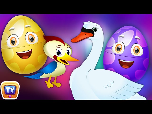 ChuChu TV Classics - Surprise Eggs Wildlife Toys - Bird watching for ...