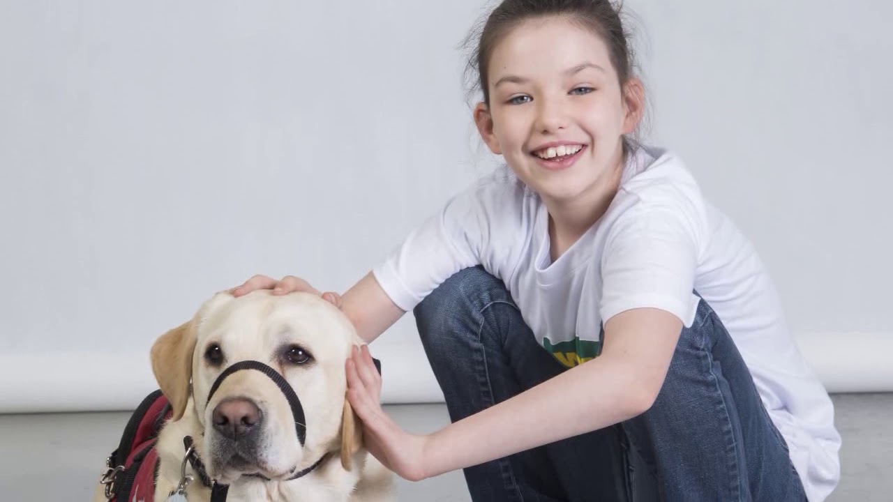 Autism Assistance Dogs Ireland - YouTube