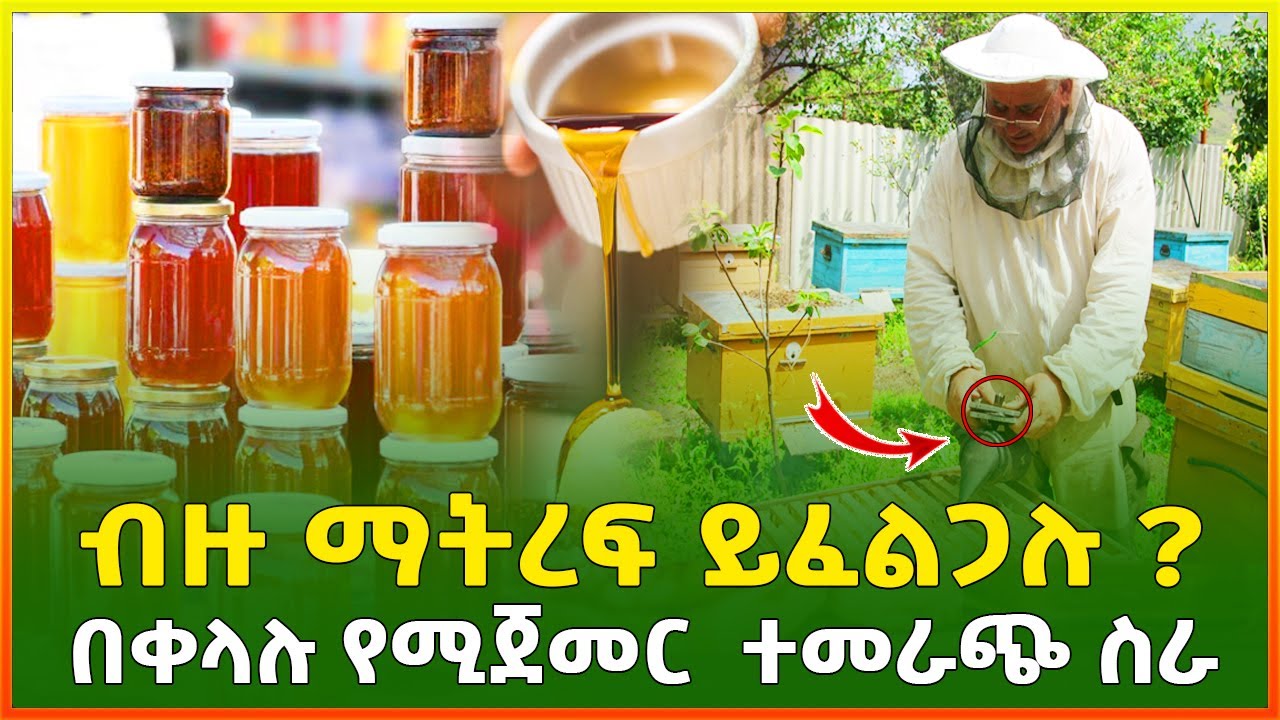 ብዙዎች የተቀየሩበት ! በትንሽ ካፕታል የሚጀመር ስራ | business idea | Ethiopia | Gebeya ...
