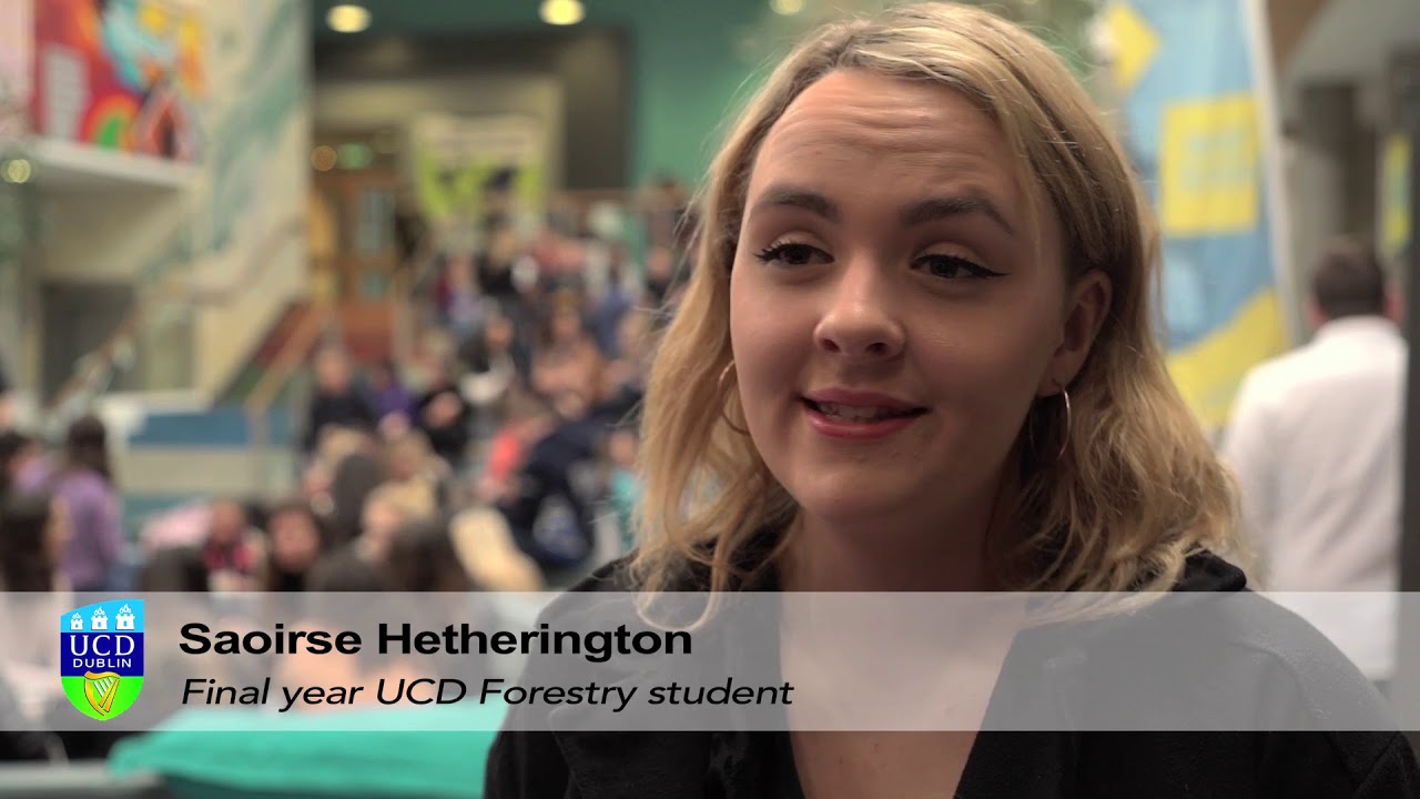 UCD Forestry - YouTube