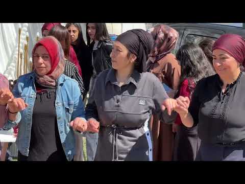 Son Saniyeye Dikkat! Halayda Ezber Bozan O Hareket...