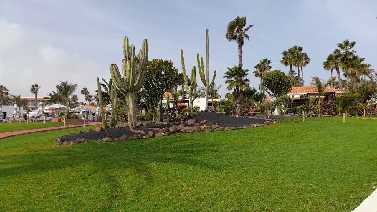 Caleta de Fuste, daily walk with my dog. Too hot for the dog. - YouTube