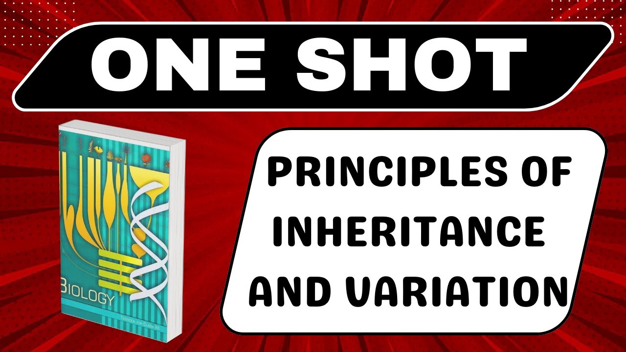 Principles of inheritance and variation class 12 one shot ncert with neet pyq topics - YouTube