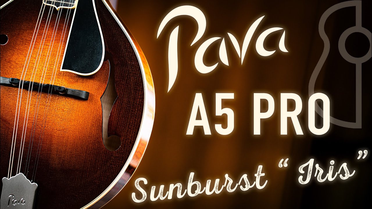 Pava A5 Pro Iris | The Music Emporium - YouTube