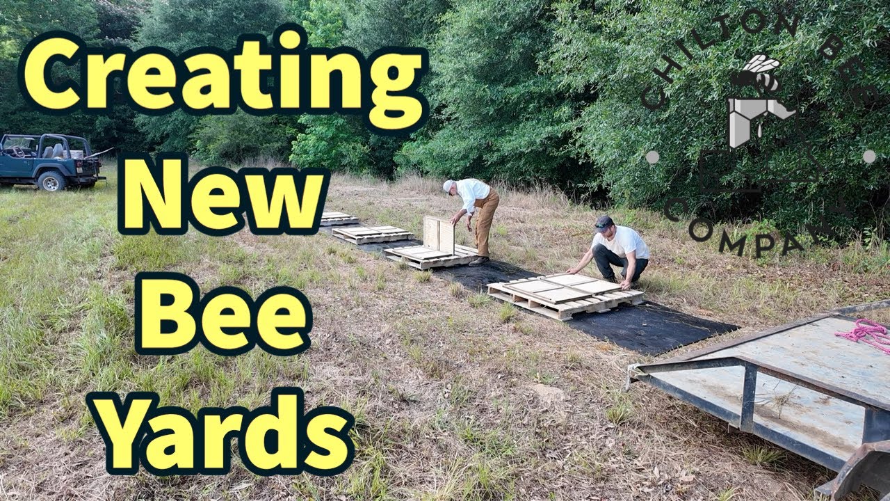 Creating New Bee Yards - YouTube