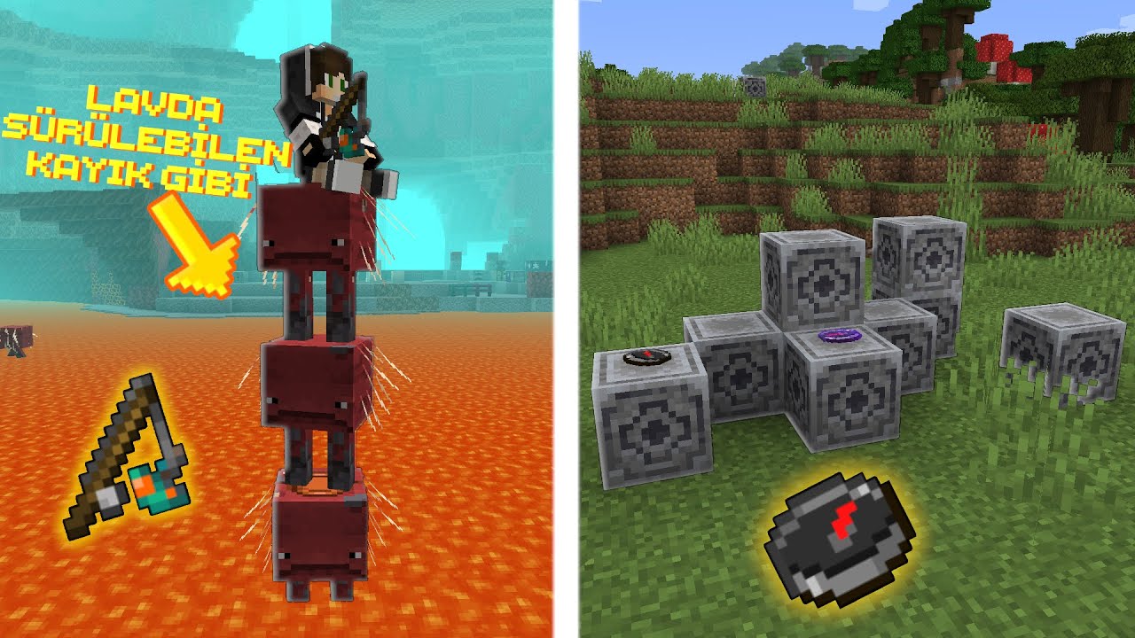 LAV'DA SÜRÜLEBİLEN YENİ CANLI, MIKNATIS TAŞI ve PUSULA İLE YER ...