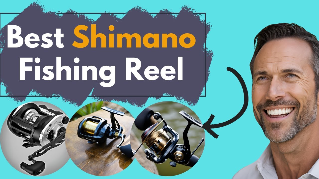 Best Shimano Fishing Reel ( Top Rated ) - YouTube