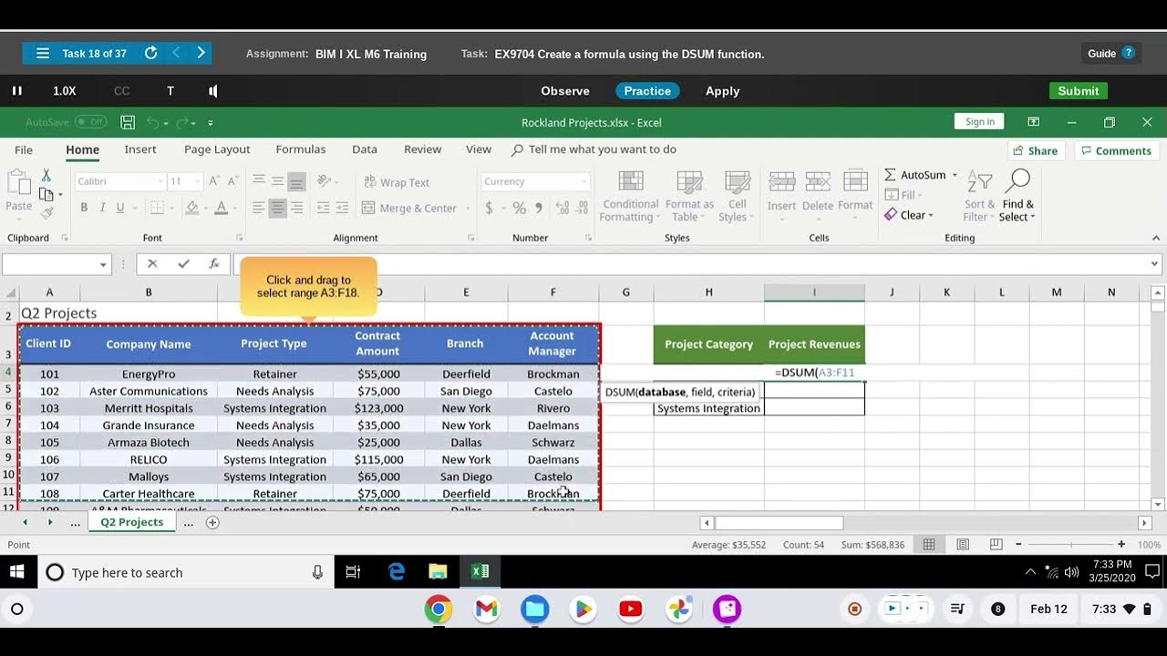 BIM I Excel Module 6 Training Task Tutorial: EX9704 Create a formula using the DSUM function ...