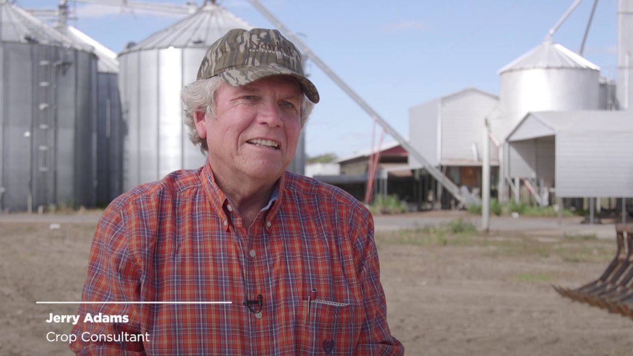 Crop Consultant Jerry Adams' AgLogic Testimonial - YouTube