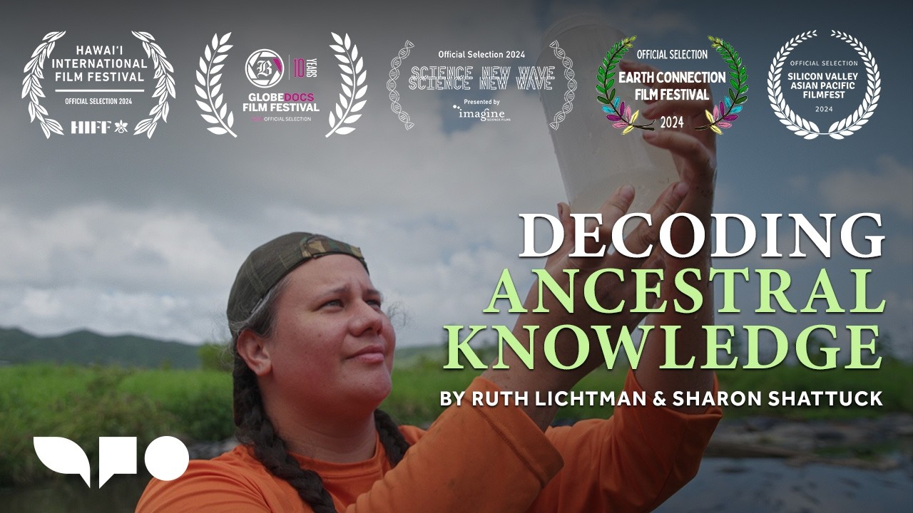 Nitrogen Cycling by Microbes in Native Hawaiian Culture | Decoding ...