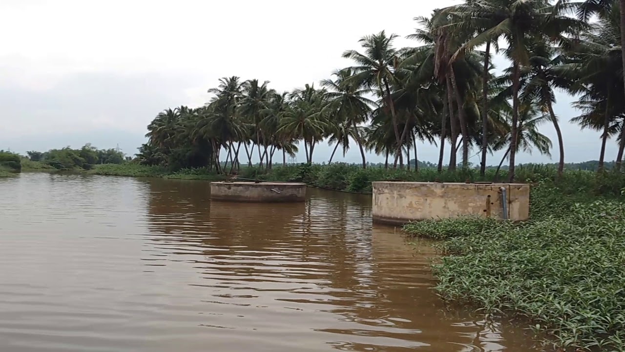 Veera Pandi river, theni - YouTube