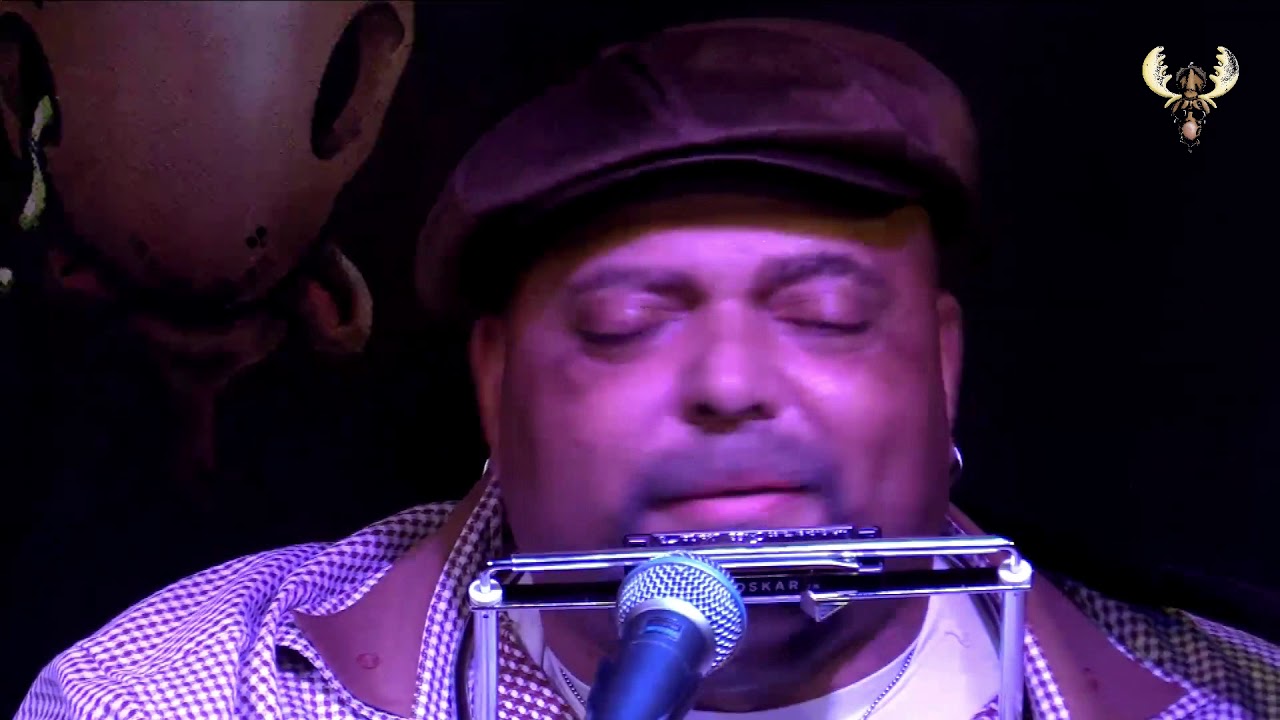 Kevin Burt - You shoulda never left me alone - Live for bluesmoose ...