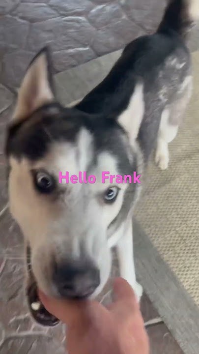 Call me Frank - YouTube