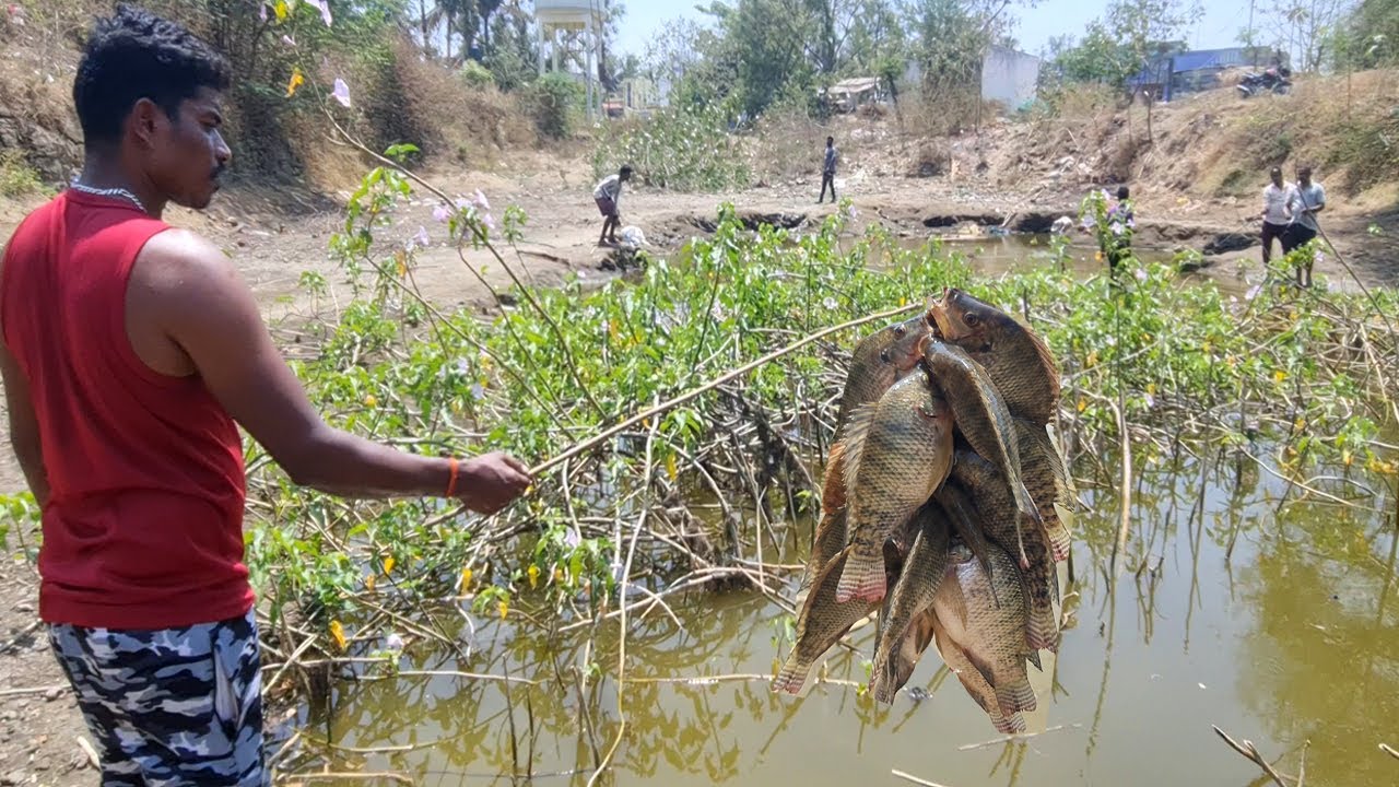 ஏரியில் மீன் வேட்டை | Fish Hunting | Village Fish Hunting | # ...
