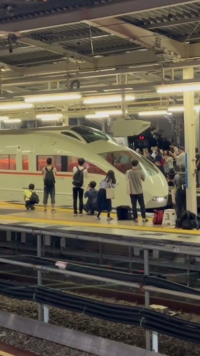 【ありがとう！50002編成】ロマンスカーVSEの勇姿 - YouTube