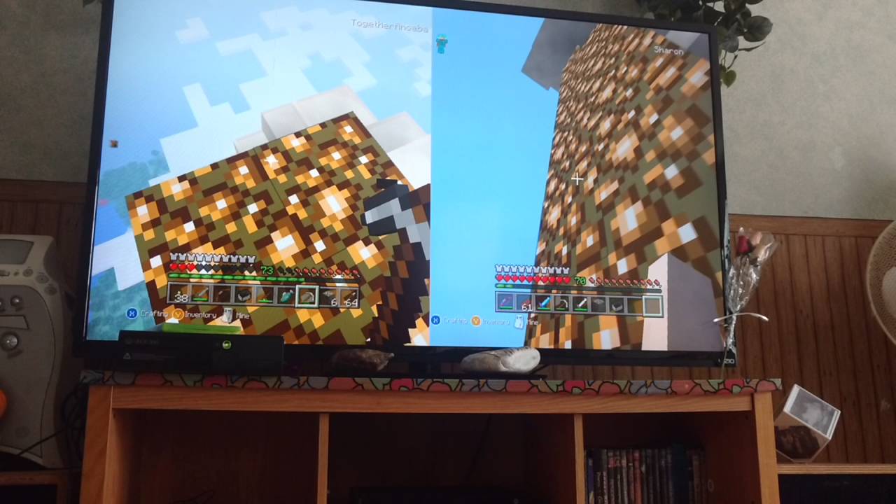 Minecraft with Sharon - YouTube