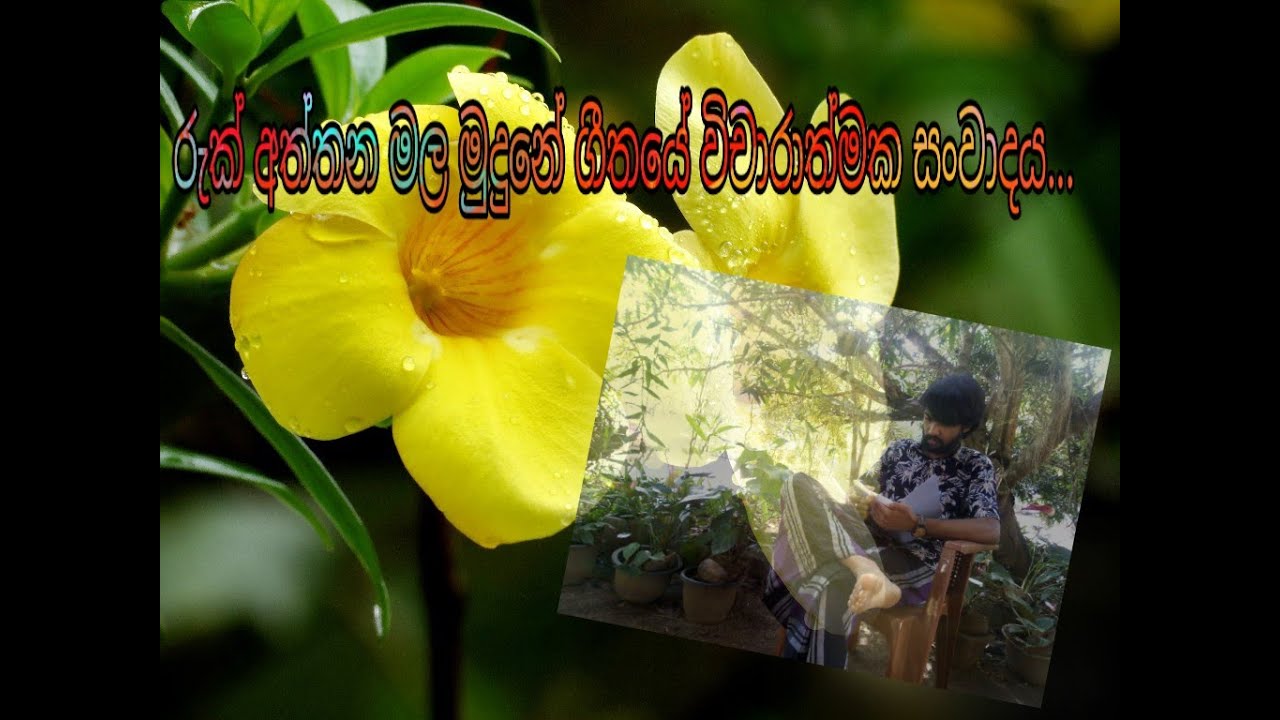 රුක් අත්තන මල මුදුනේ ගීතයේ විචාරාත්මක සංවාදය Ruk Aththana Mala Mudune ...