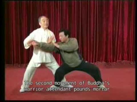 Chen Style Tai Chi Pushing hands 1/4(Eng sub)- Thôi thủ - YouTube