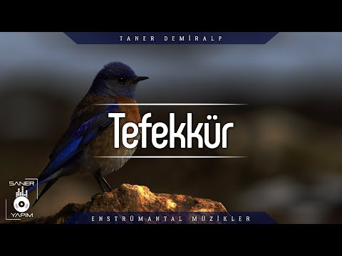 TEFEKKÜR (LONGING )  - Taner DEMİRALP