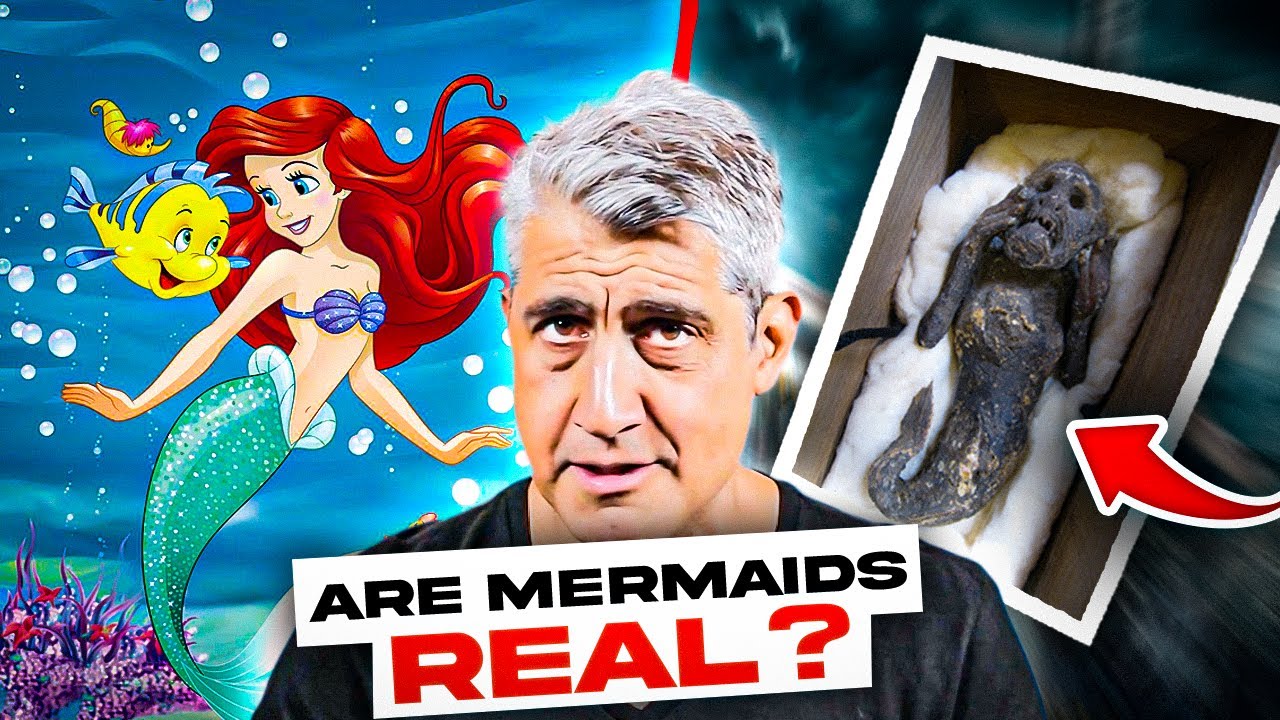 The Little Mermaid: Dark History & Real Mermaid Sightings?! - YouTube