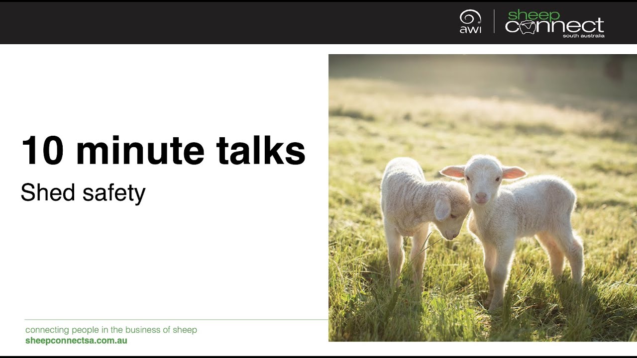 10 minute talk - Shearing Shed Safety - YouTube