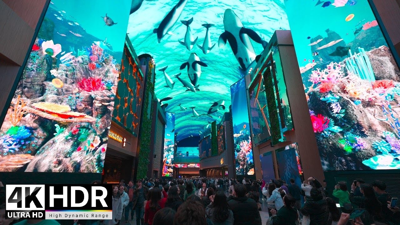 Inspire Resort, watching underwater experience media art ‘Aurora ...