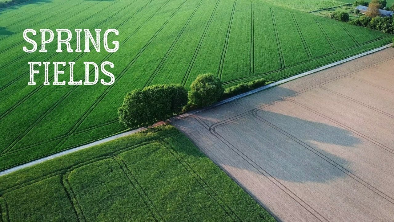 FIELDS of Spring (Greenery Fields) with AMBIENT Music #field #spring # ...