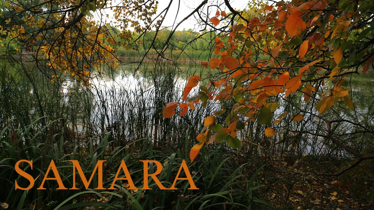 Самара. Ботанический сад. Октябрь. & Samara. Botanical garden. October ...