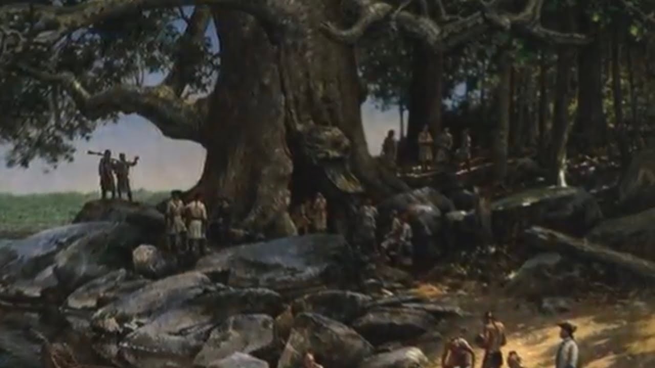 They Lived in Hollow Trees! (Appalachian Settlers and the American ...