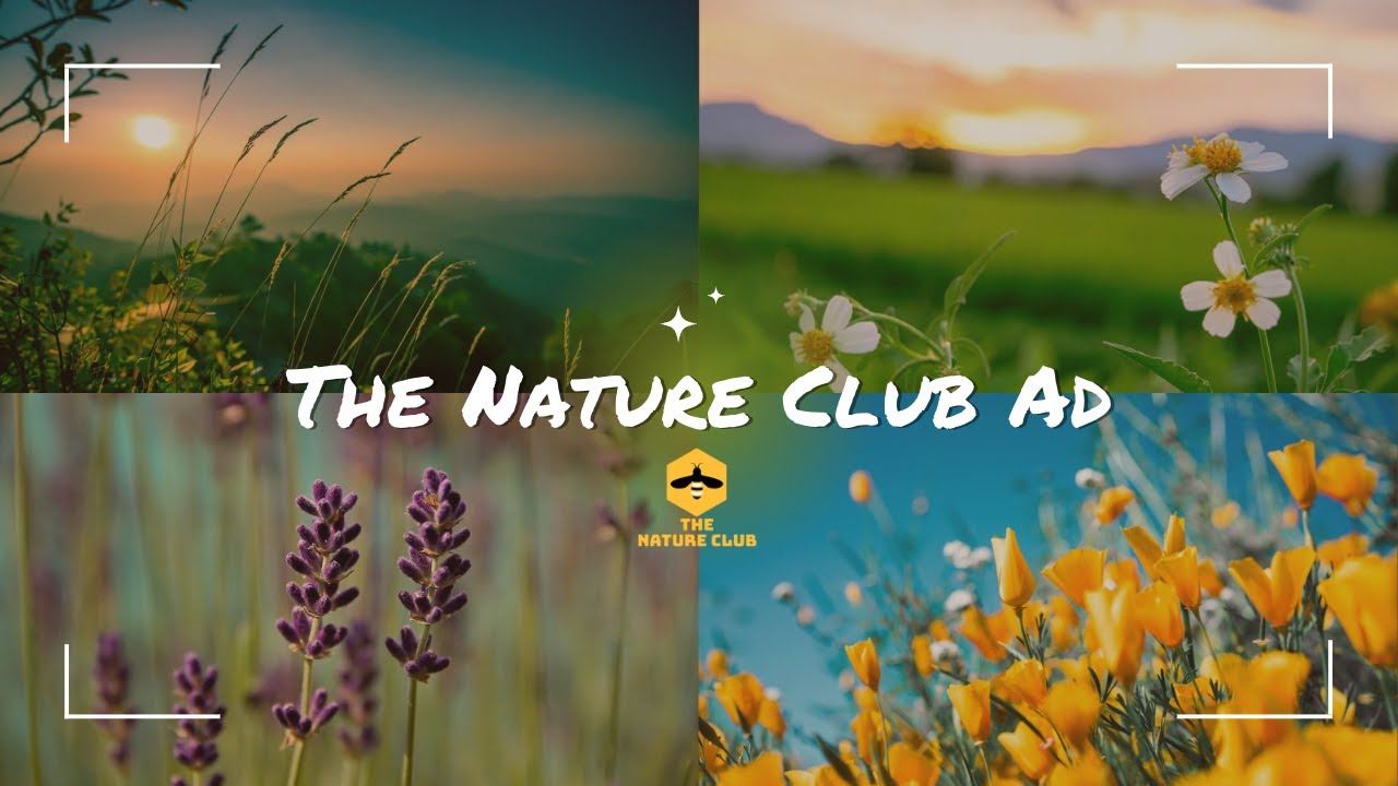 The Nature Club Trailer | The Nature Club | - YouTube