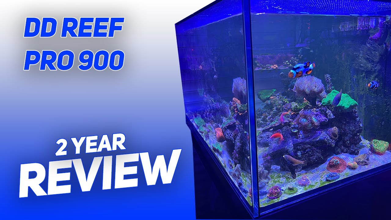 DD Reef Pro 900: 2 year Review - YouTube
