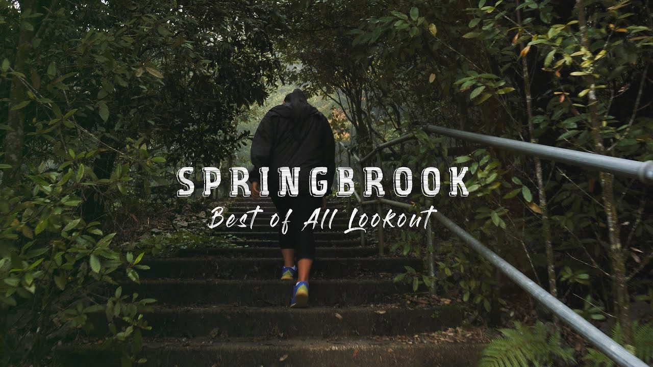 Springbrook National Park - Best of All Lookout - YouTube