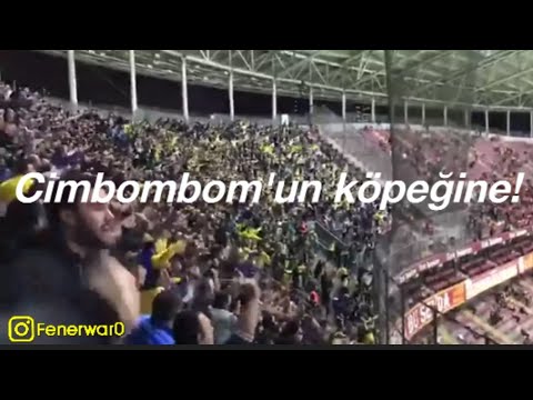 Cimbombom'un Köpeğine 📣