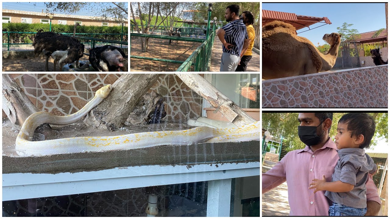 AL Noman ZOO Barka Oman |ഒമാന്‍ Zoo കാണാന്‍ പൊയപ്പൊള്‍ 😱|Rinus world ...