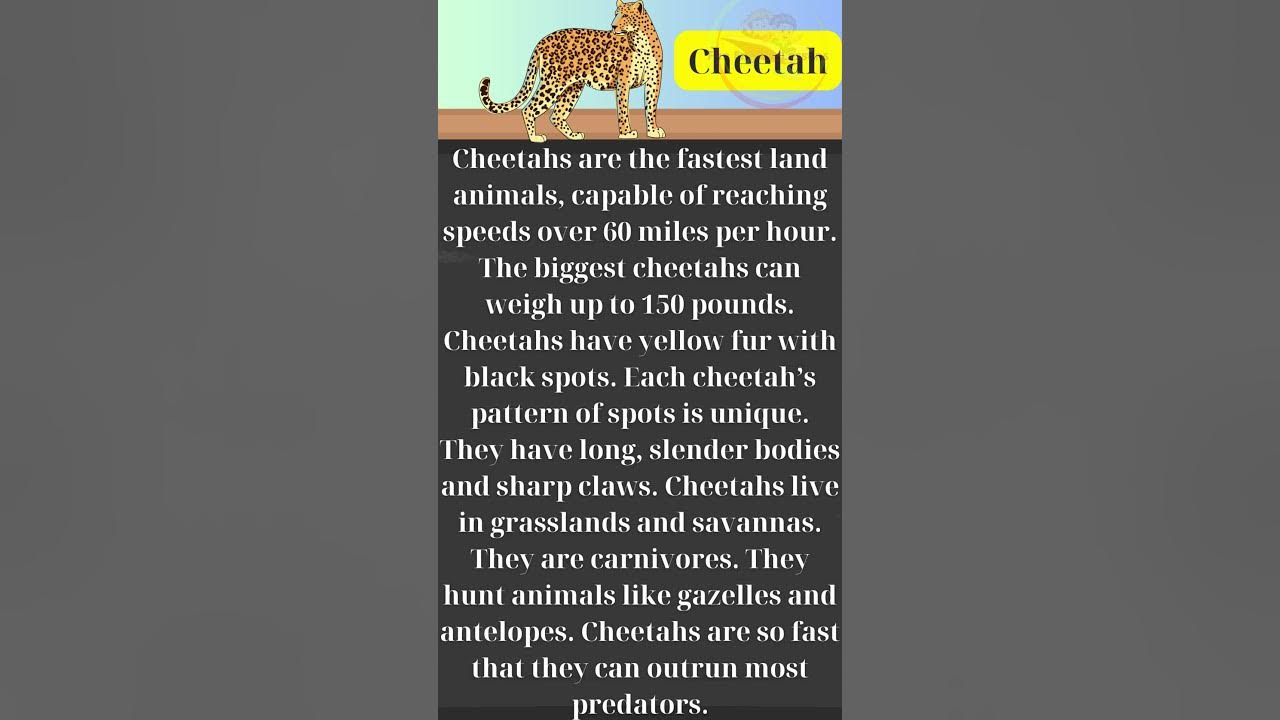 Explore the Animal Kingdom: Learn English Vocabulary Through Cheetahs ...