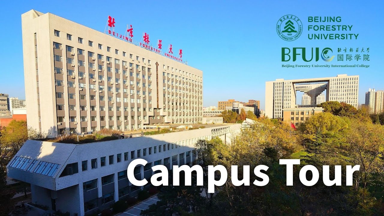 Beijing Forestry University: A US Student's Ultimate Guide [2024 ...