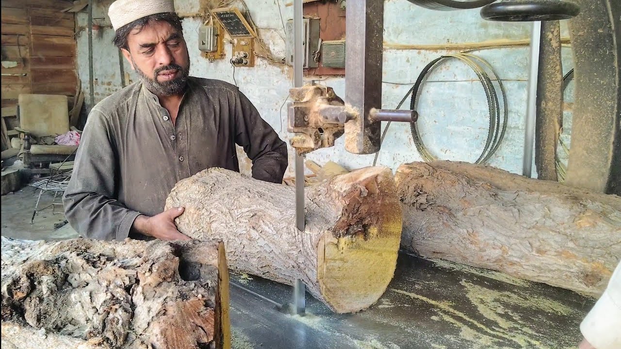 WOODEN Logs and Sharp Bandsaw | Wooden Logs Cutting in sawmill | Wood ...