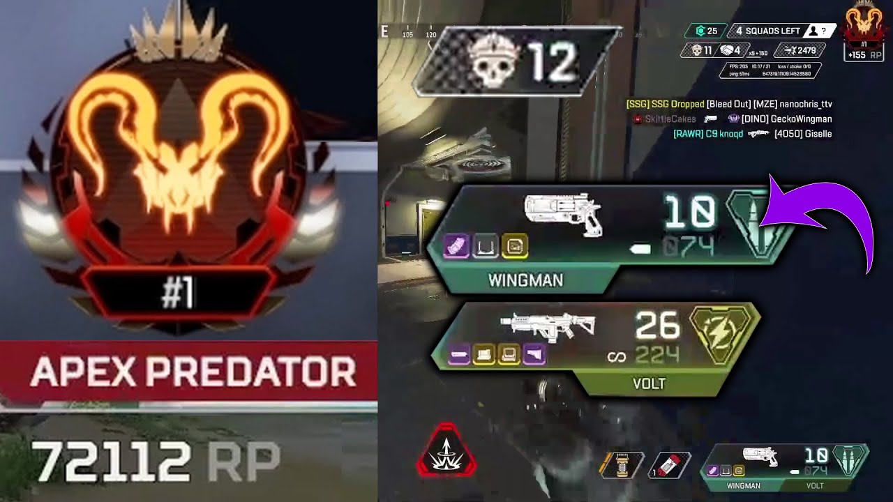 #1 Apex Predator shows the best loadout for Apex Predator Rank - YouTube
