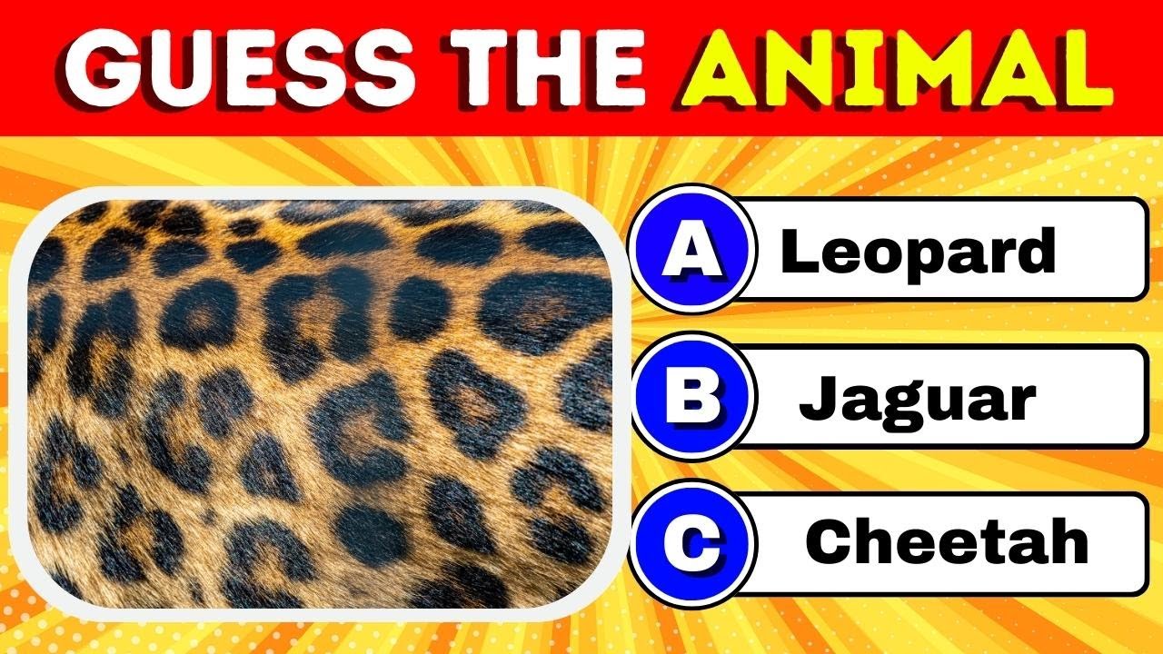 Can You Guess the Animal by Their Unique Textures 🦁🔍 Guess the Animal ...