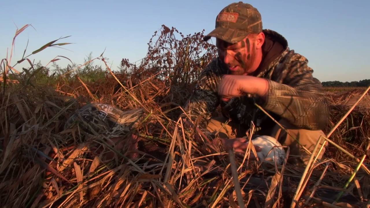 Duck Hunting: Youth Duck Hunt 2016 Teaser - Hardline Outdoors - YouTube
