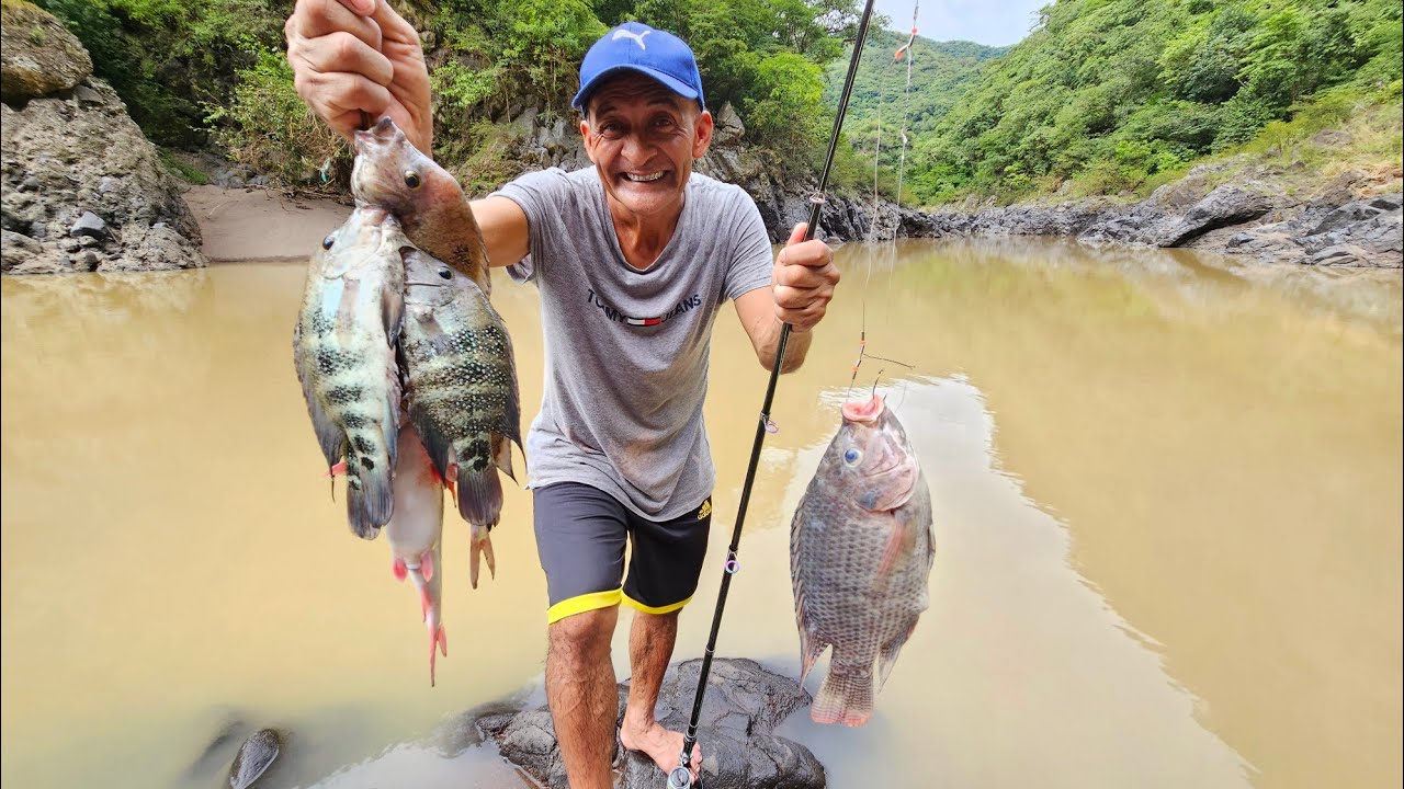 pescando mojarras tilapia y Bagre - YouTube
