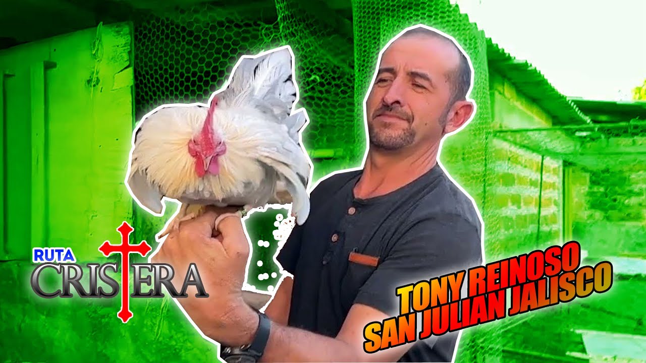 La Ruta Cristera - Criadero Tony Reinoso - YouTube