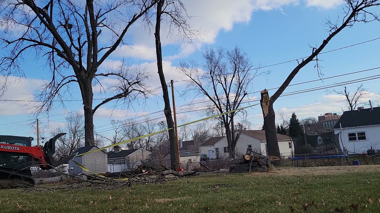 Tree hanging way over power lines - YouTube