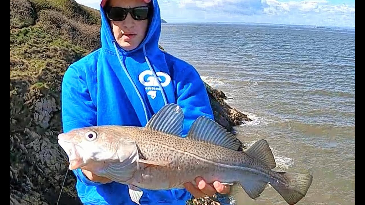 Sea Fishing Brean Down Bristol Channel - Rays and Cod - YouTube