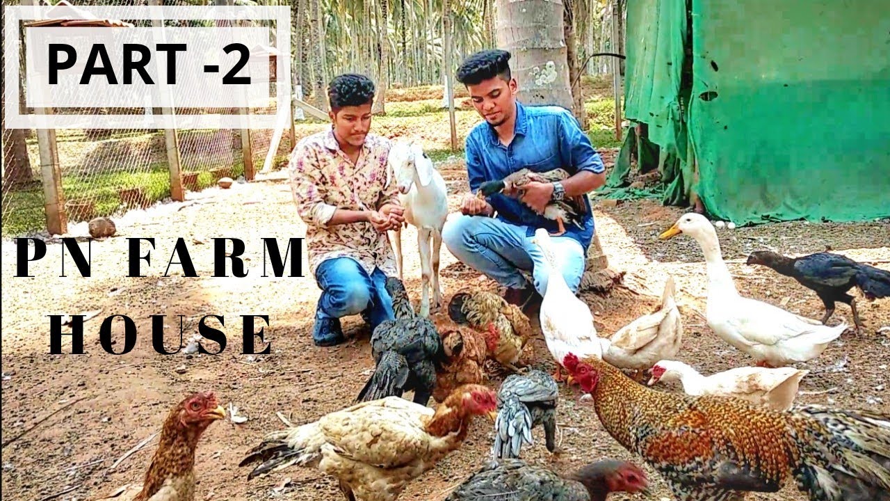 PN Farm house - Pollachi - YouTube