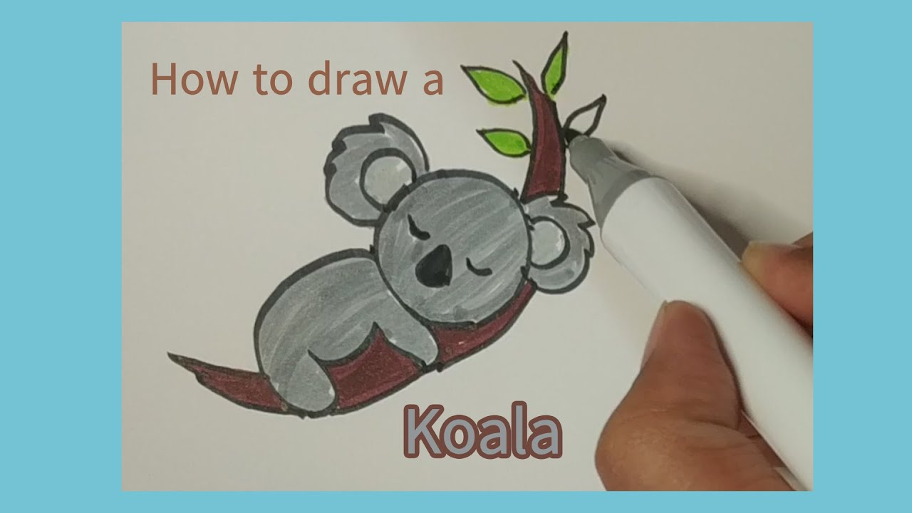 How to draw Koala easy step by step - YouTube