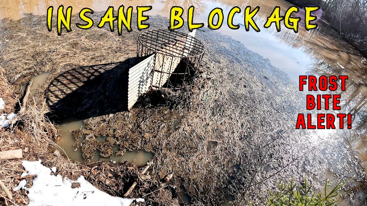 MASSIVE Blockage!! Unclogging Lake Drain After Winter Storm - HUGE ...